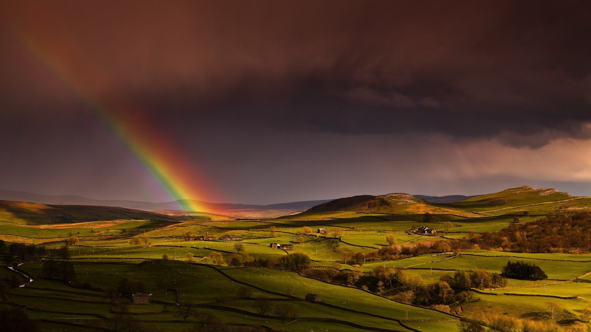 The Rainbow Bridge – AdoptMe!