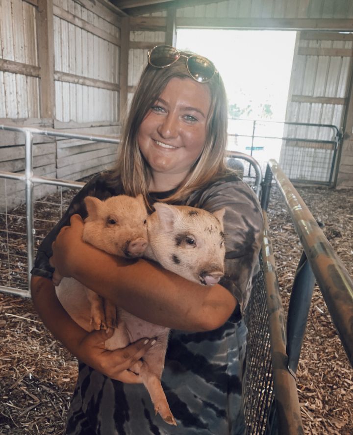 Meet Peas & Carrots! *UPDATE: ADOPTED!!!* – AdoptMe!